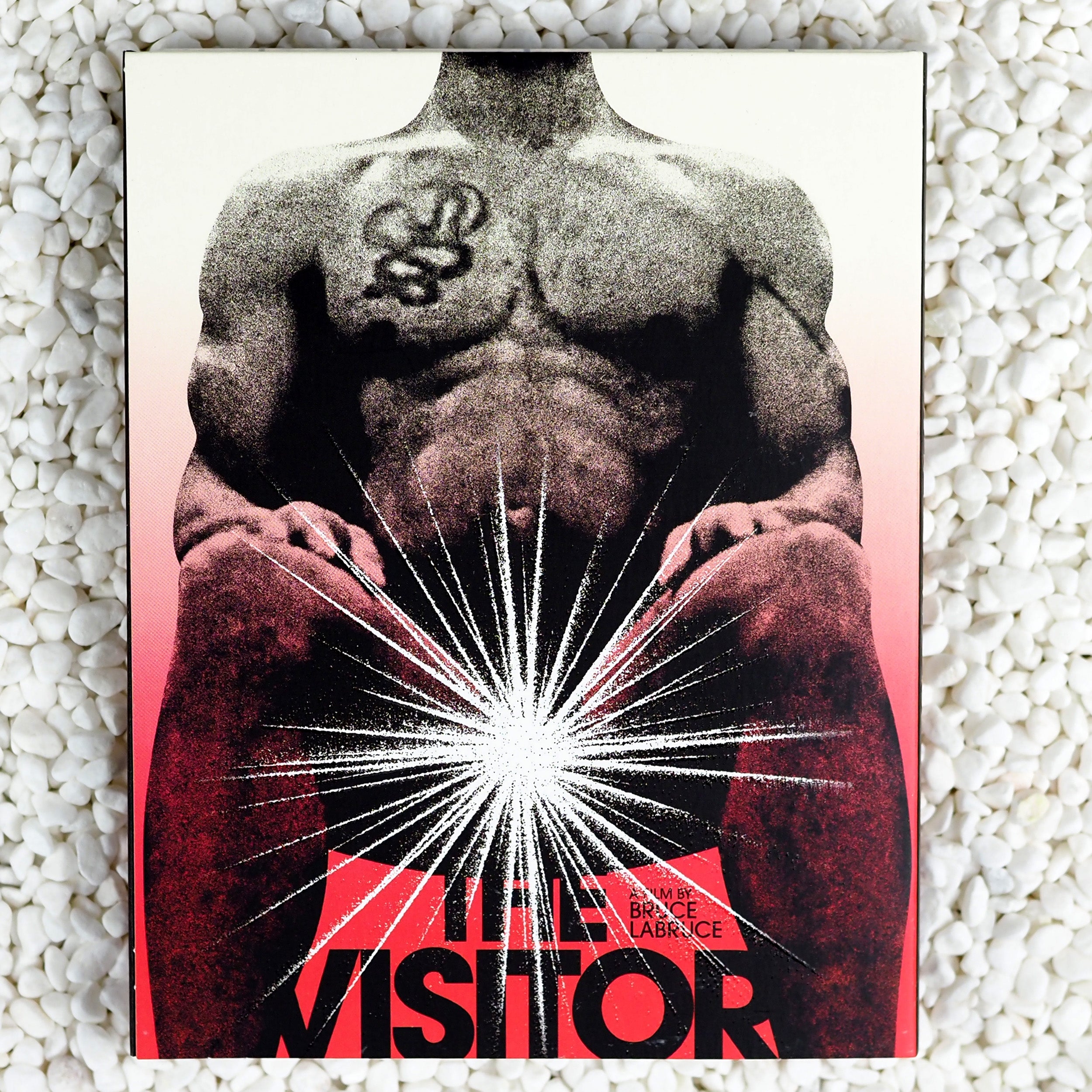 The Visitor – Mélusine